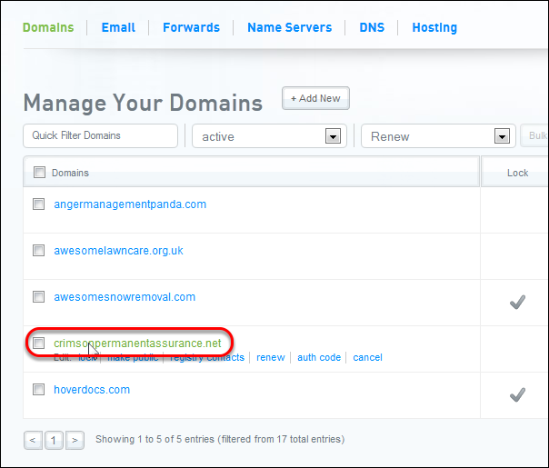 Setting Up Your DNS Records with Hover